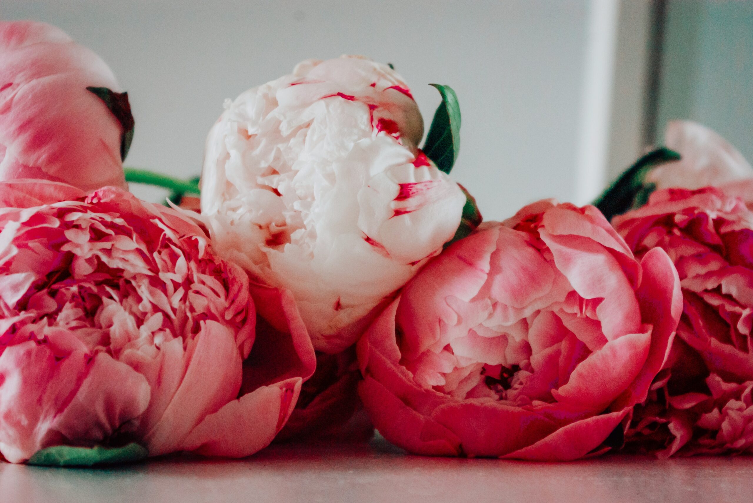 Case Study | Our Work | Arena Flowers | outbloom